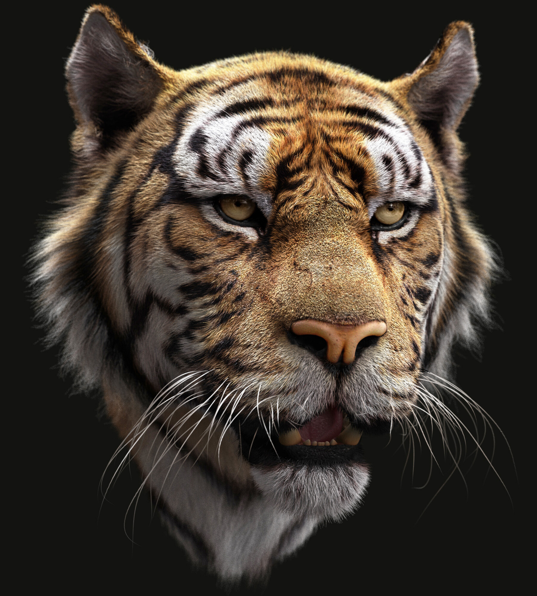 Massimo Righi - Tiger's head