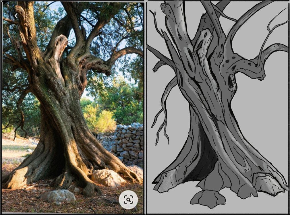 ArtStation - Tree Study