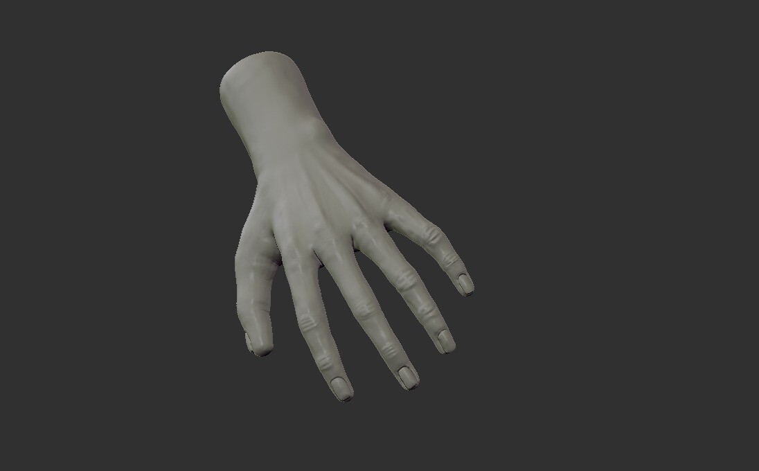 ArtStation - Hand anatomy