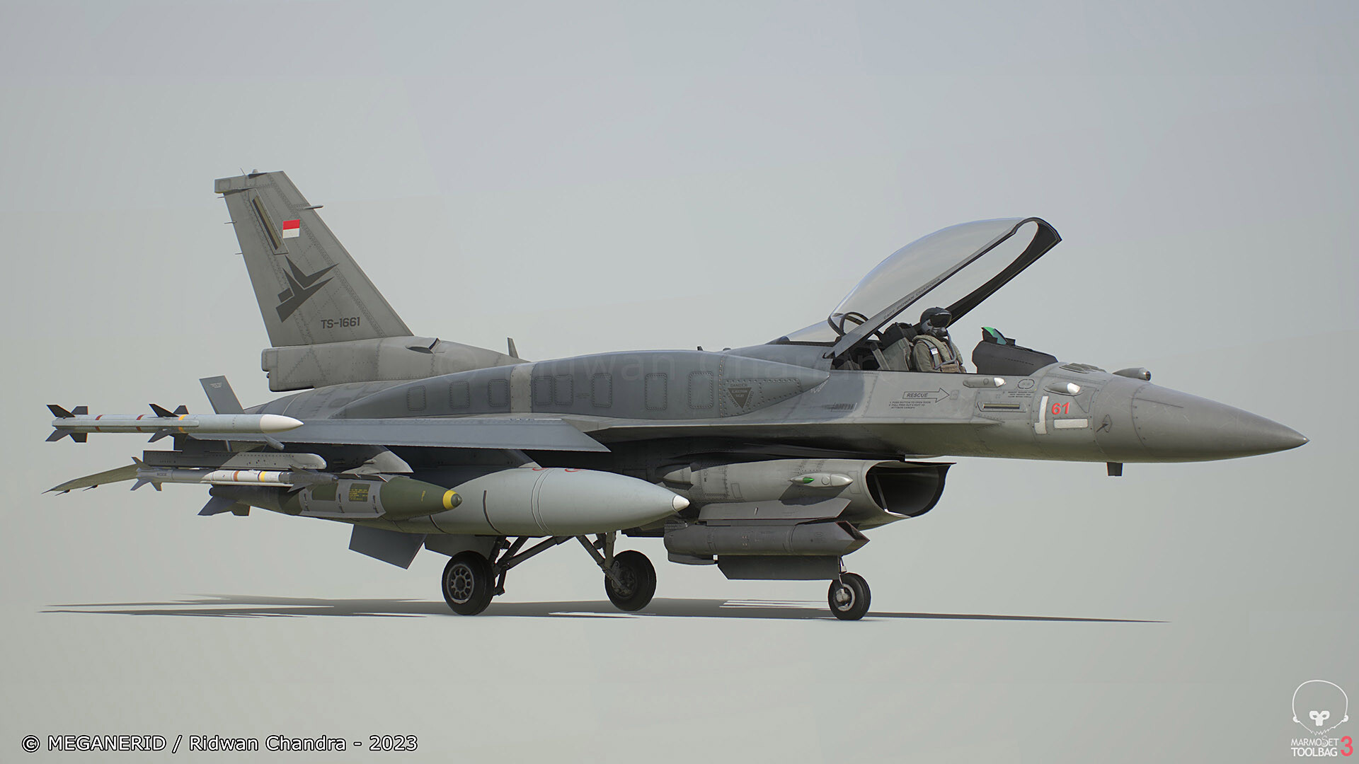 Ridwan Chandra - MeganeRid - Fighter Pilot