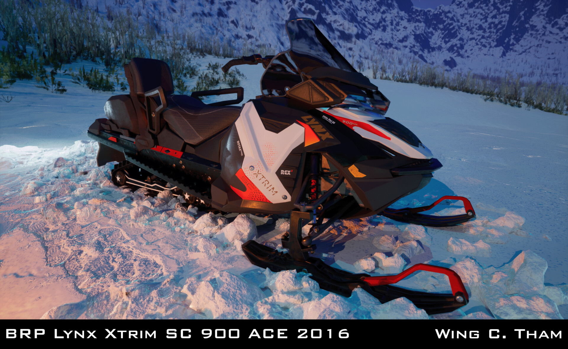 Wing Tham - BRP Lynx Xtrim SC 900 ACE 2016