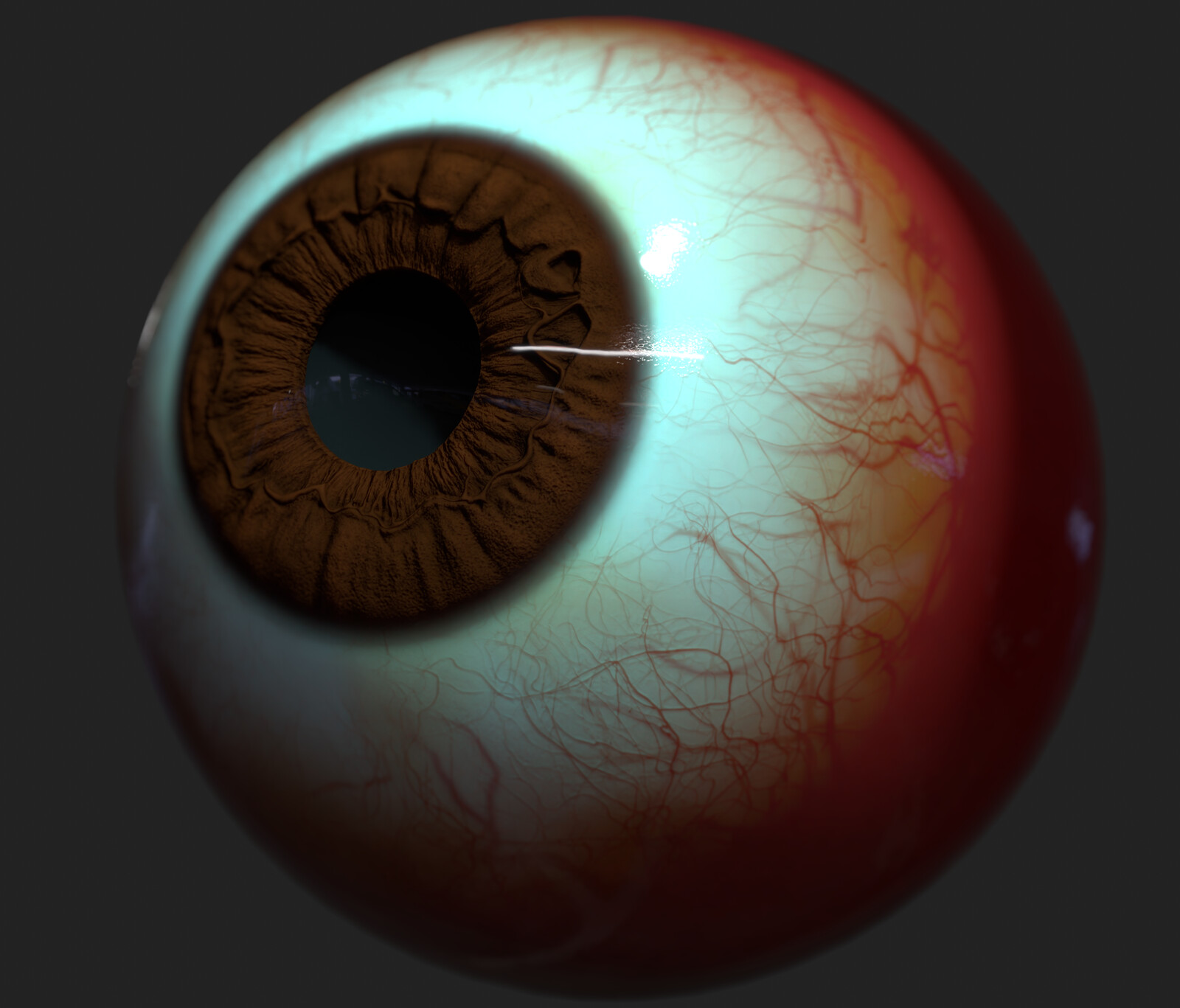 Om Kumar Thapa - Modeling and texturing of realistic eyeballs.