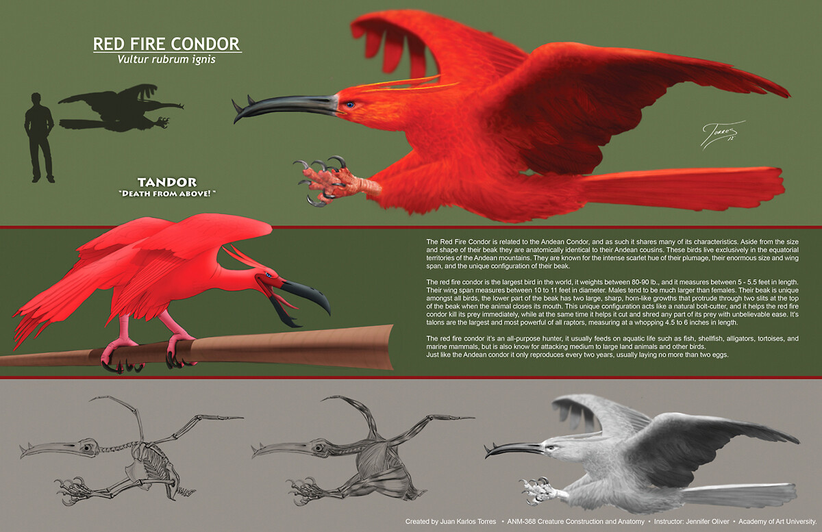 ArtStation - Red Fire Condor