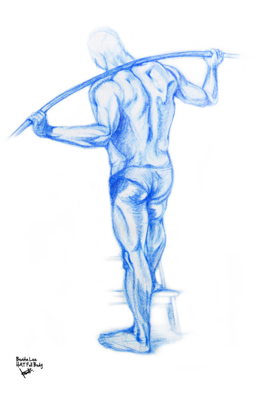 how to draw male back