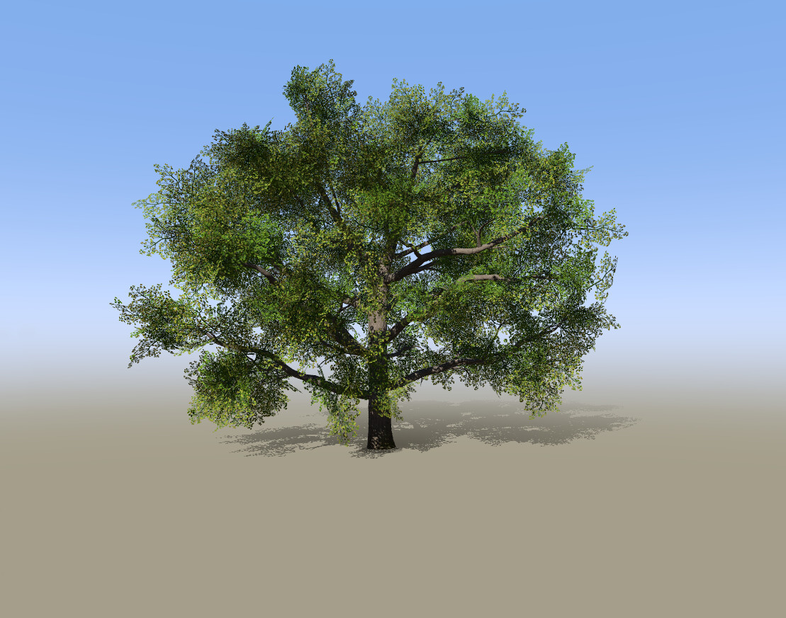 ArtStation - Trees with Speedtree