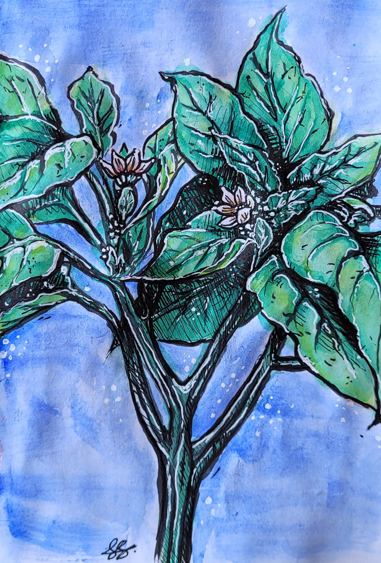 ArtStation - Flowering bell pepper plant