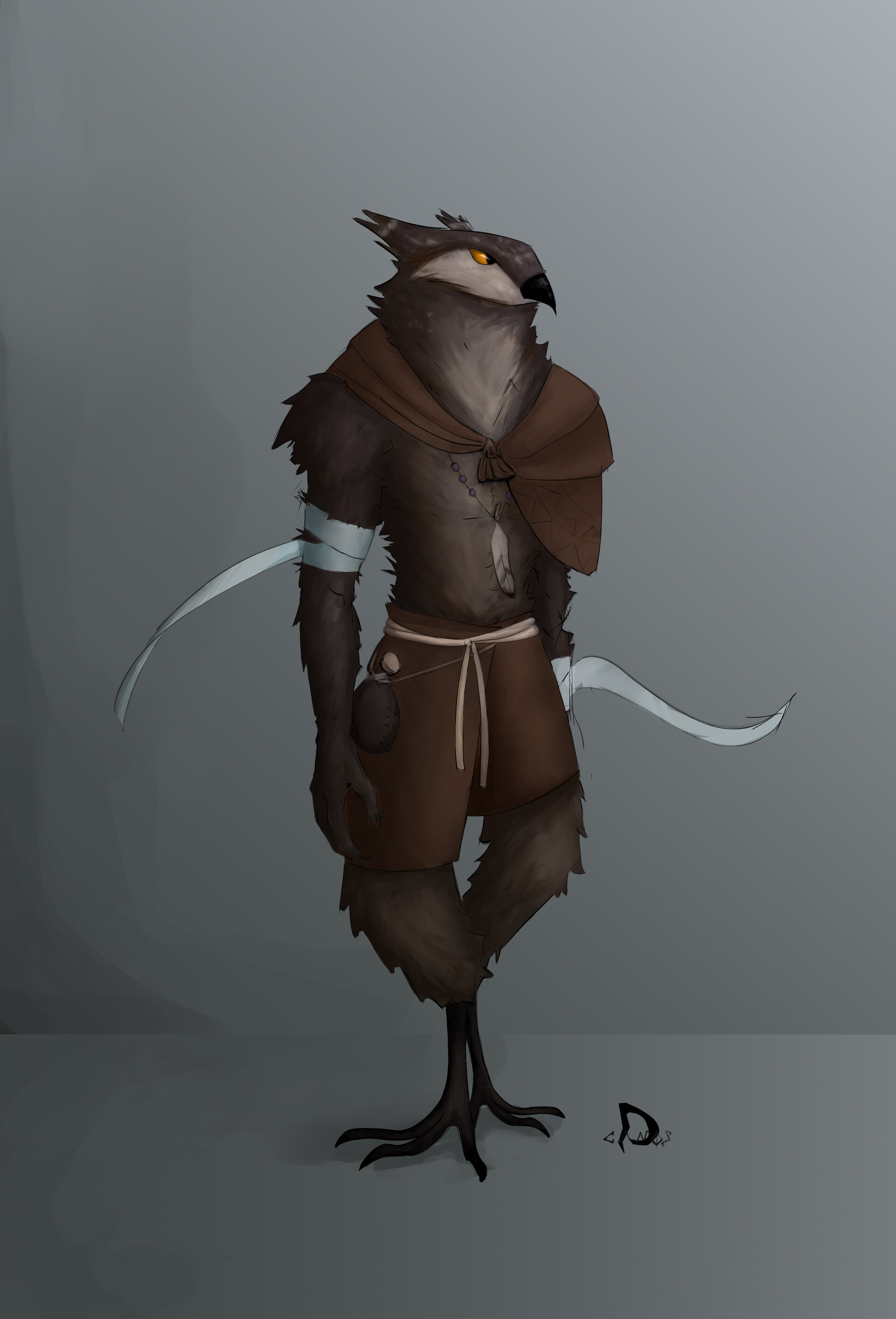 ArtStation - [CHARACTER DESIGN! personal Univers] Owl specie