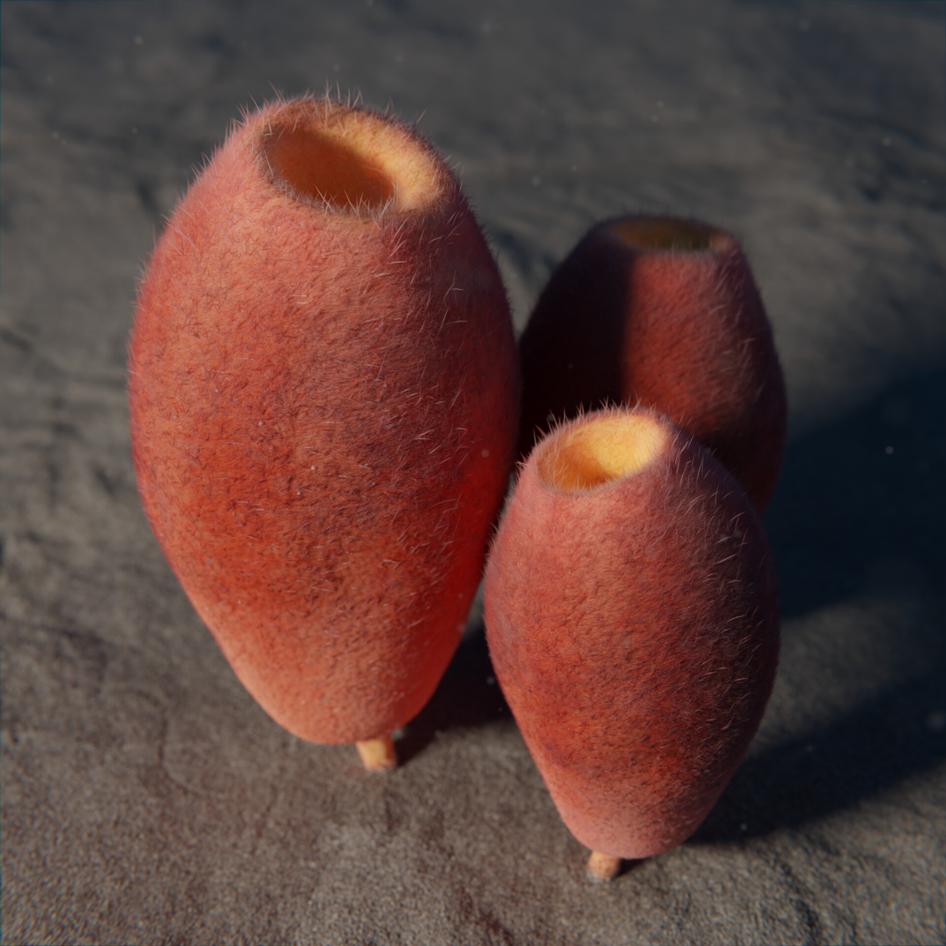 ArtStation - 'Hamptonia' christi Form B