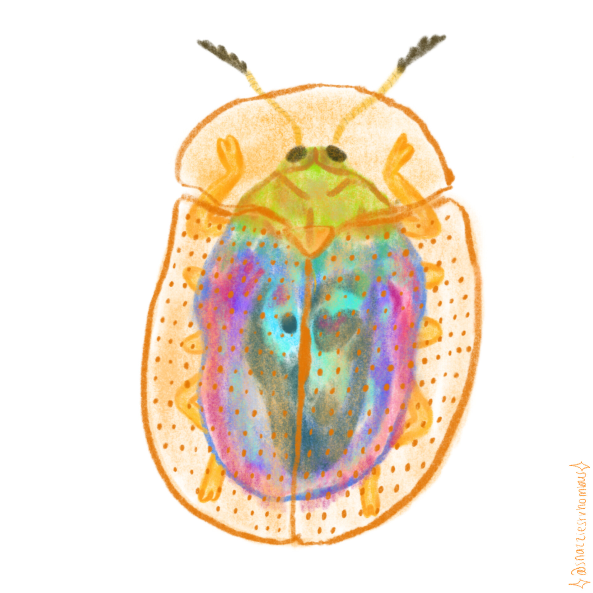 how to draw golden beetle
