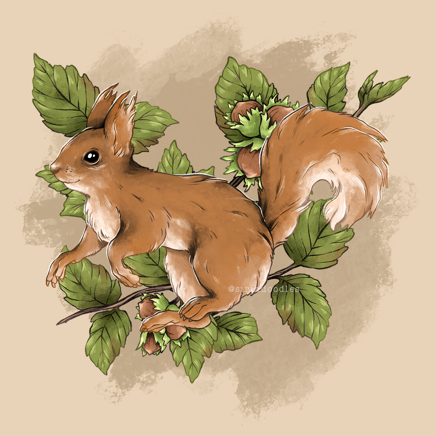 ArtStation - Squirrel illustration - With cottage core journal sticker set