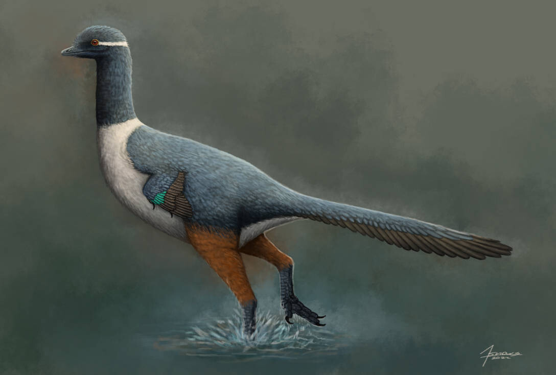 ArtStation - Halszkaraptor