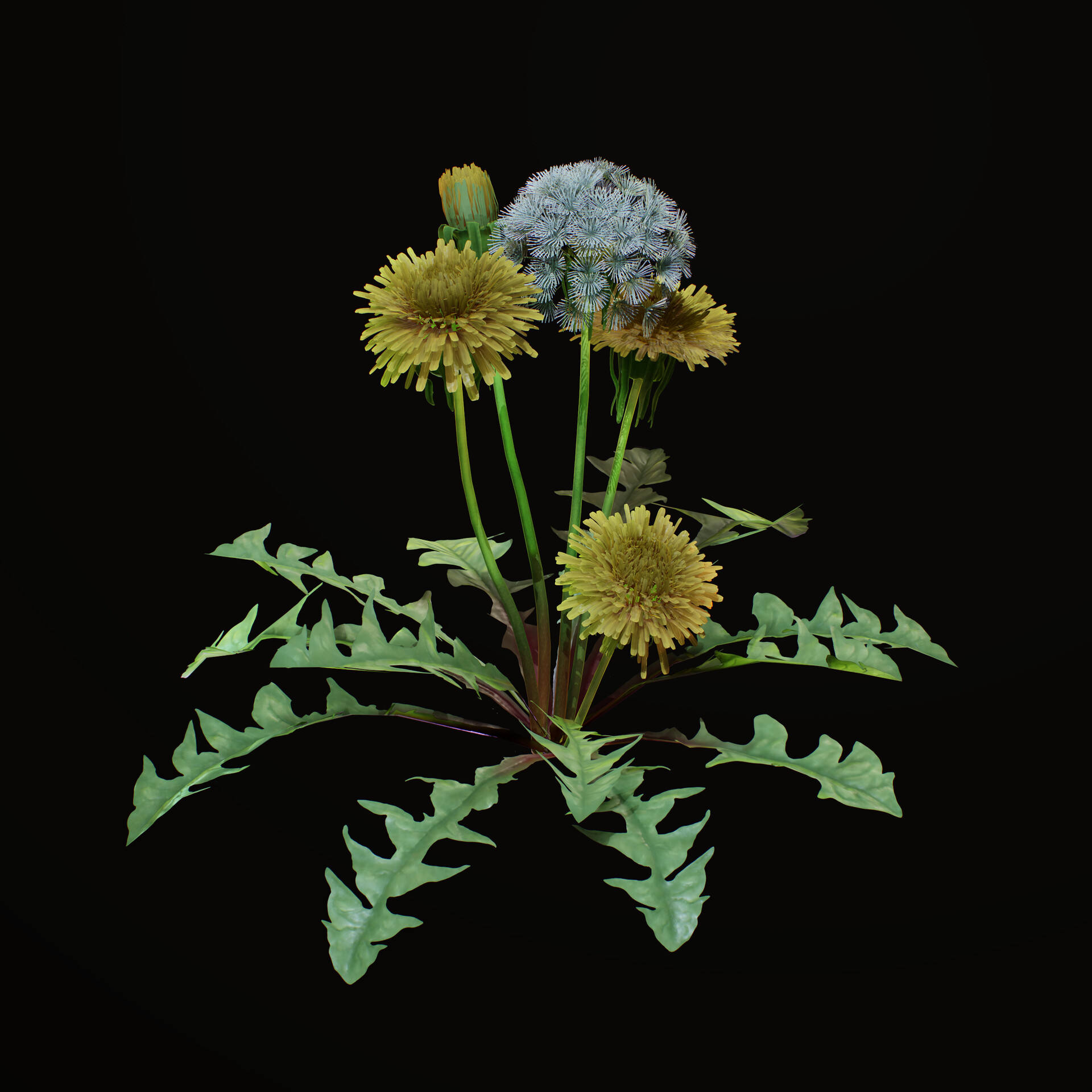 ArtStation - Stylized semi-realistic dandelion