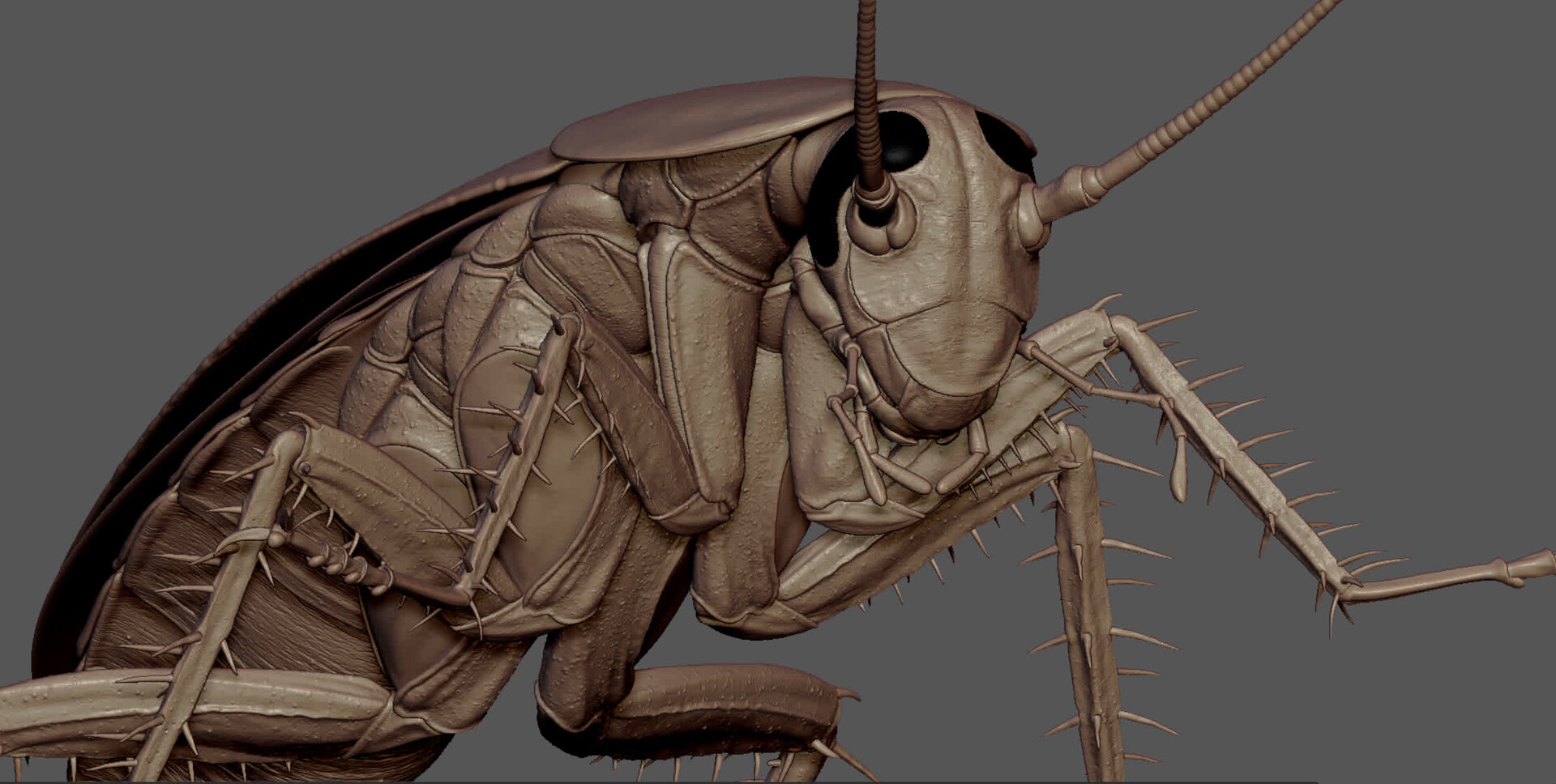 ArtStation - Cockroach
