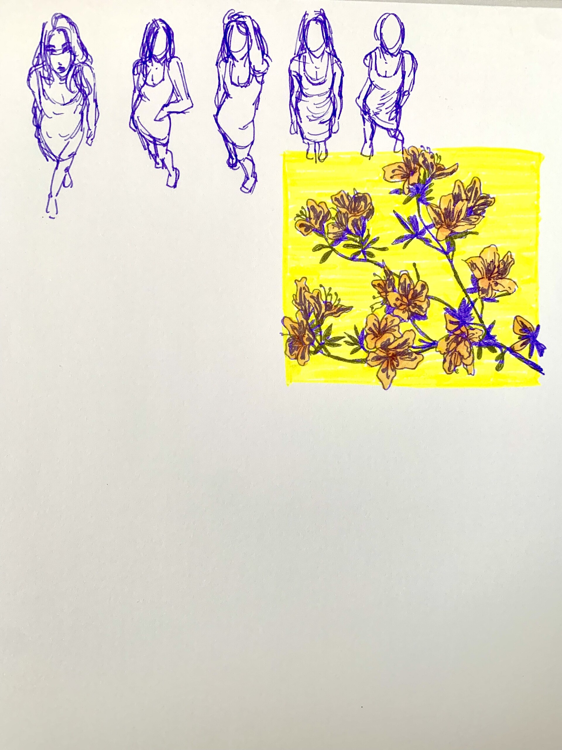 ArtStation - Graphic Sketches