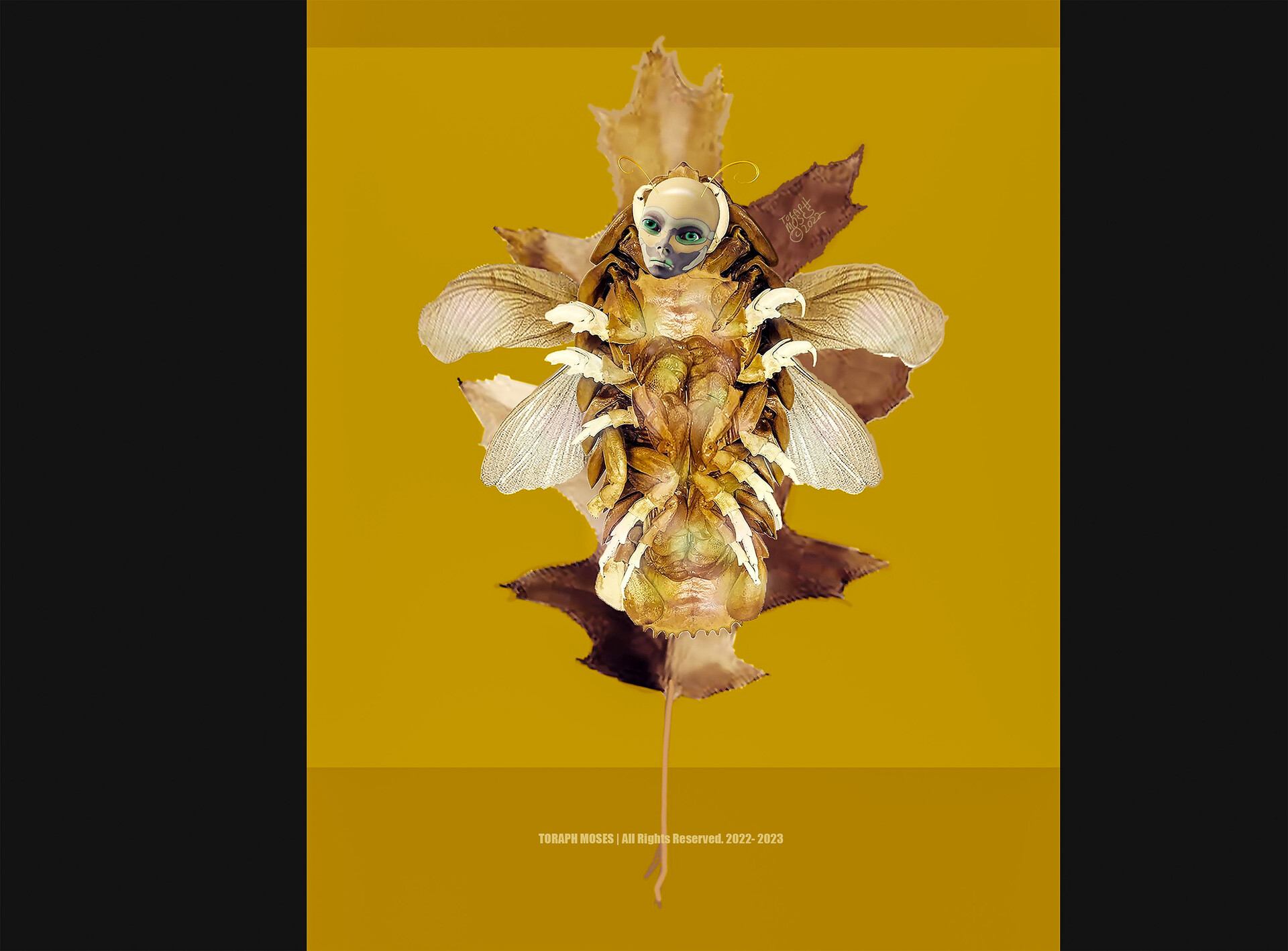 ArtStation - BEN-OAK-FOIL, forest fairy