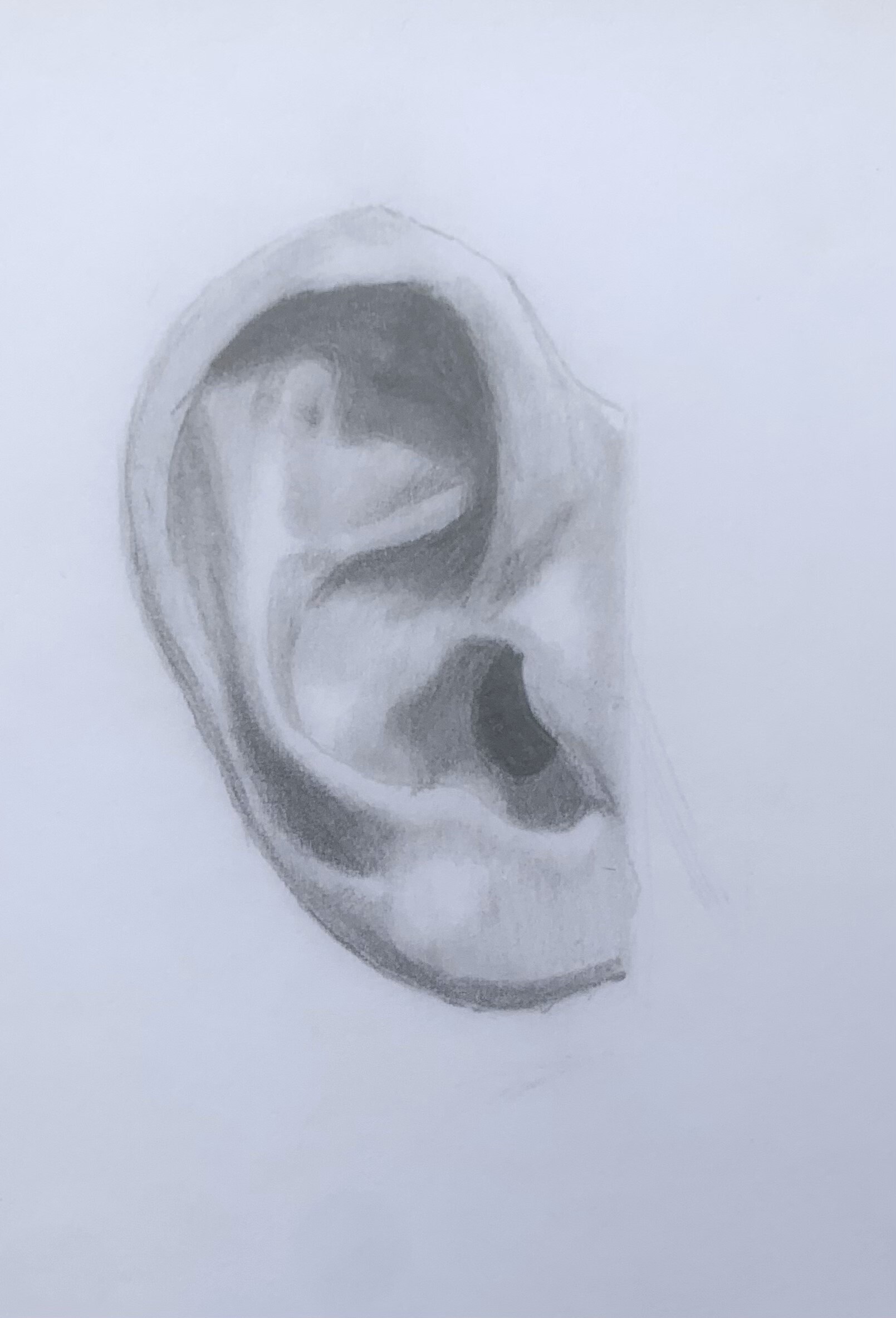 Pencil Drawings Of Ears