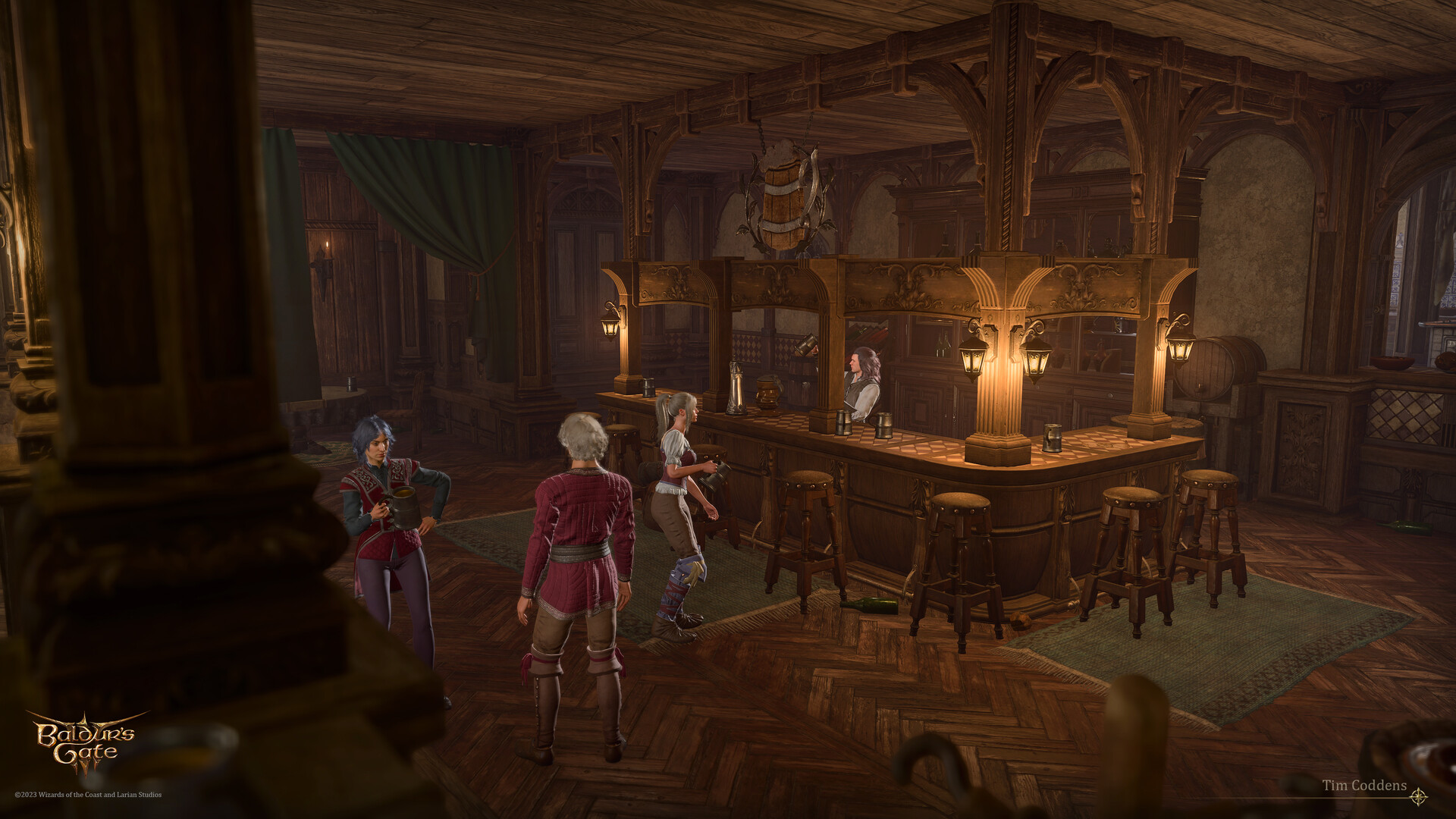 Tim Coddens - The Elfsong Tavern