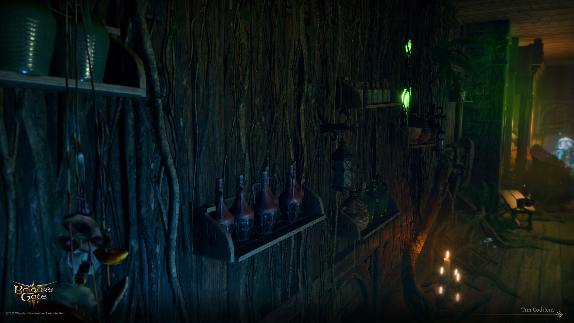 Tim Coddens - The Blushing Mermaid Basement