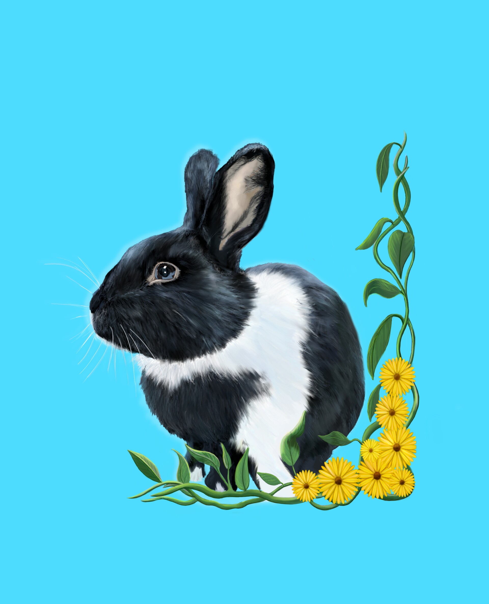 ArtStation - Rabbit Commission