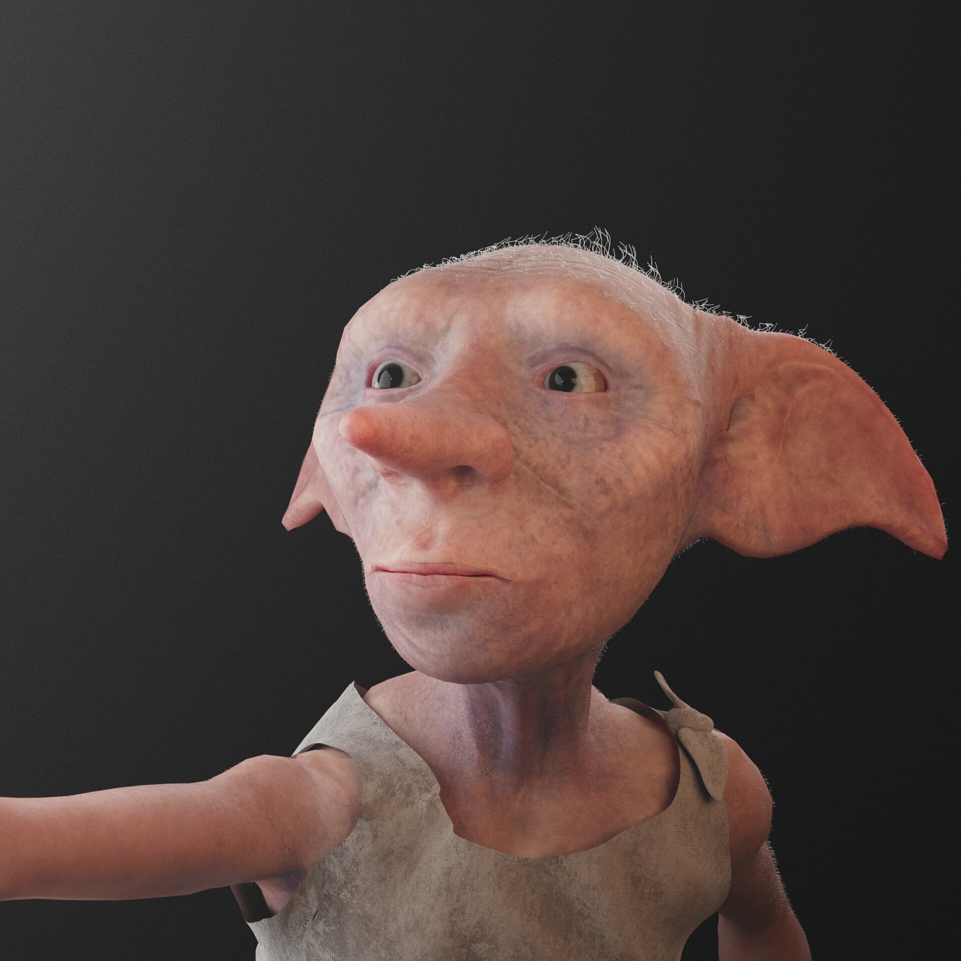 ArtStation - House Elf