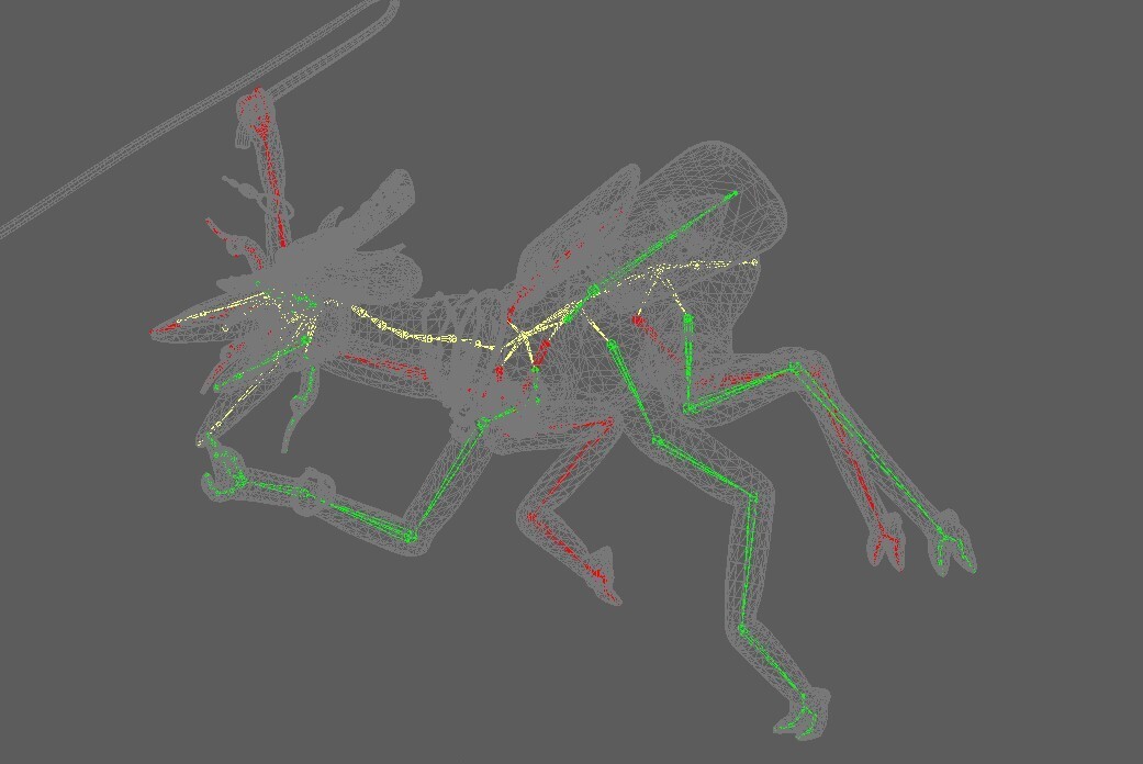 Gabe Colena - Birrin Spearfisher