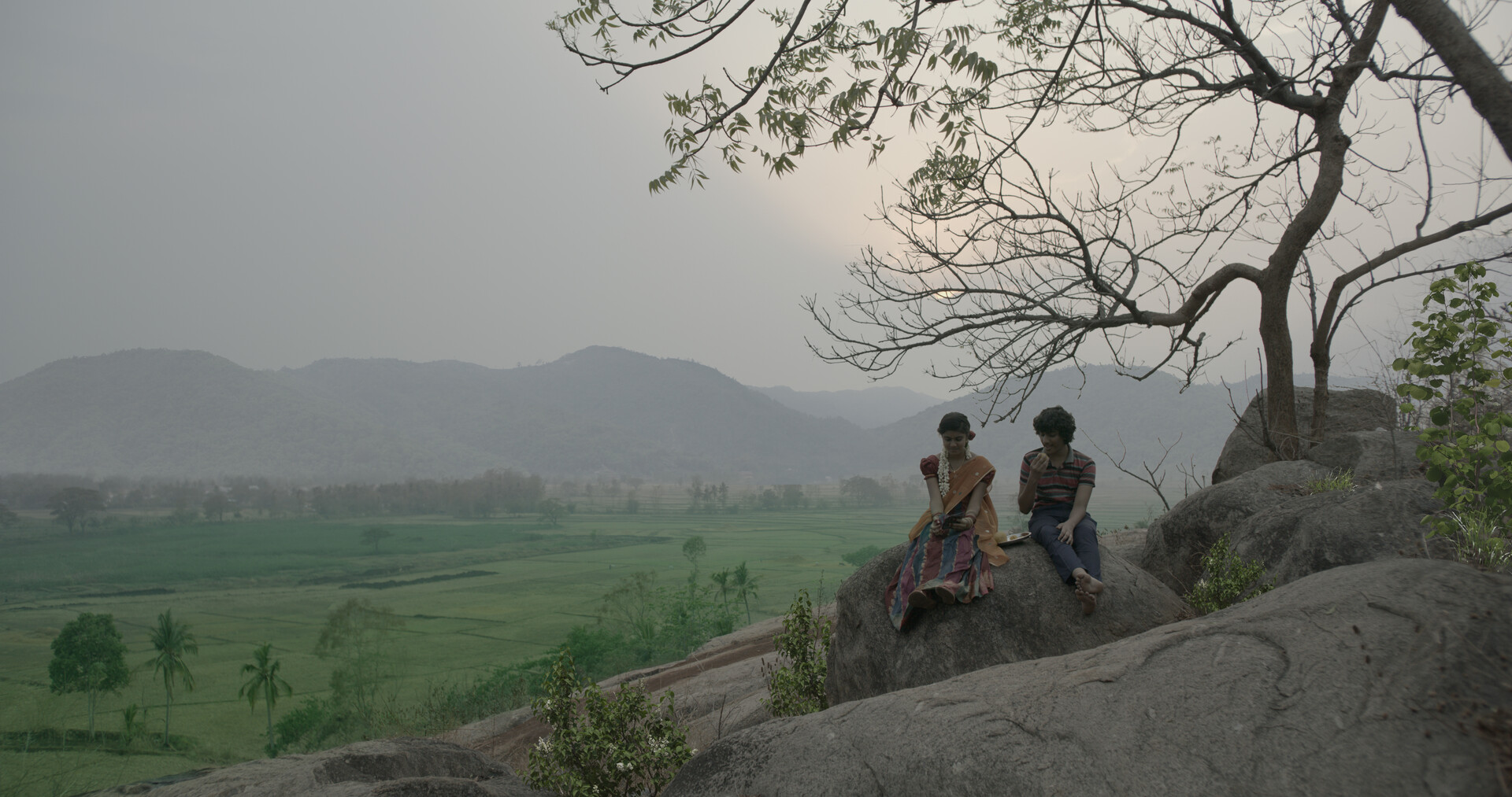 ArtStation - Background Extinction