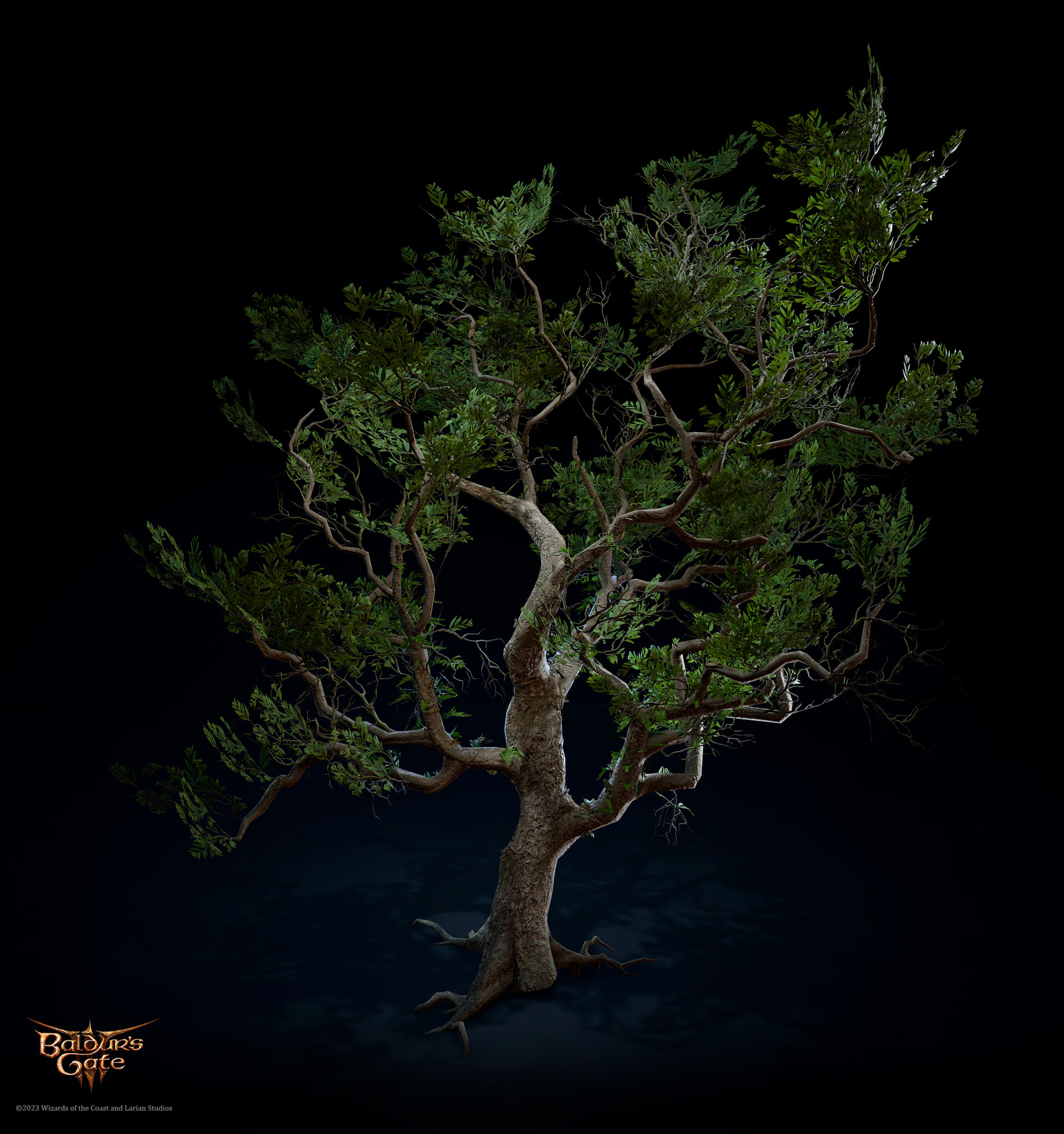 Gert-Jan van de Put - Baldur's Gate 3 - Vegetation