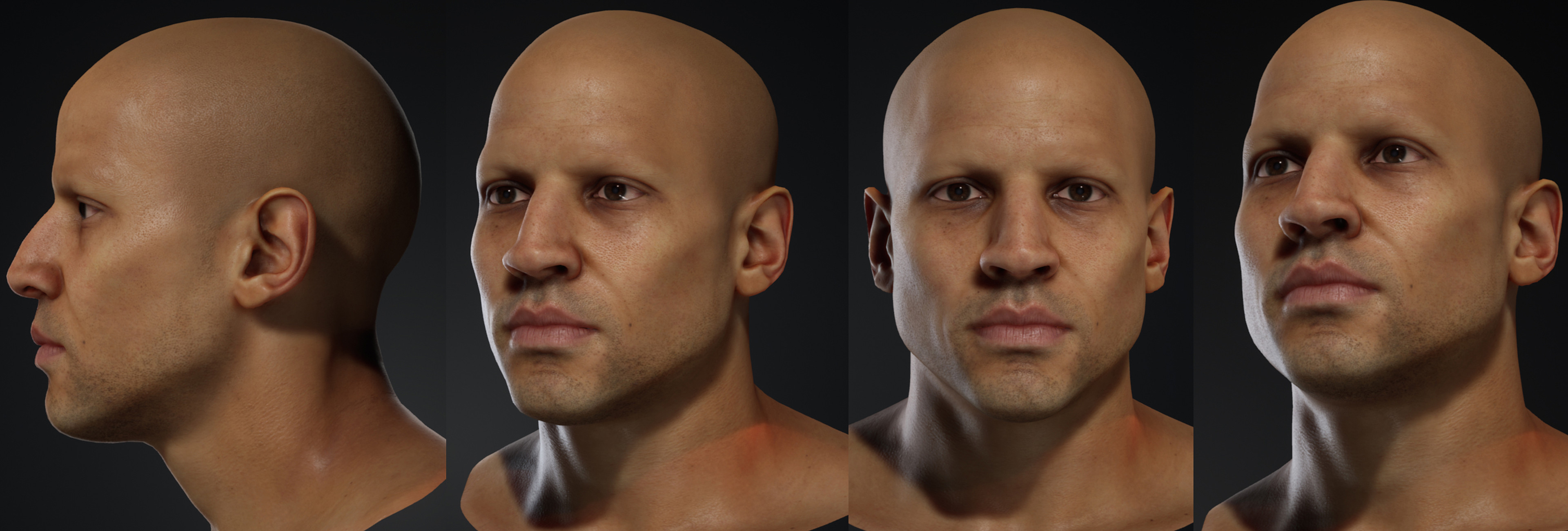 Dan Roarty - Remnant 2 - heads