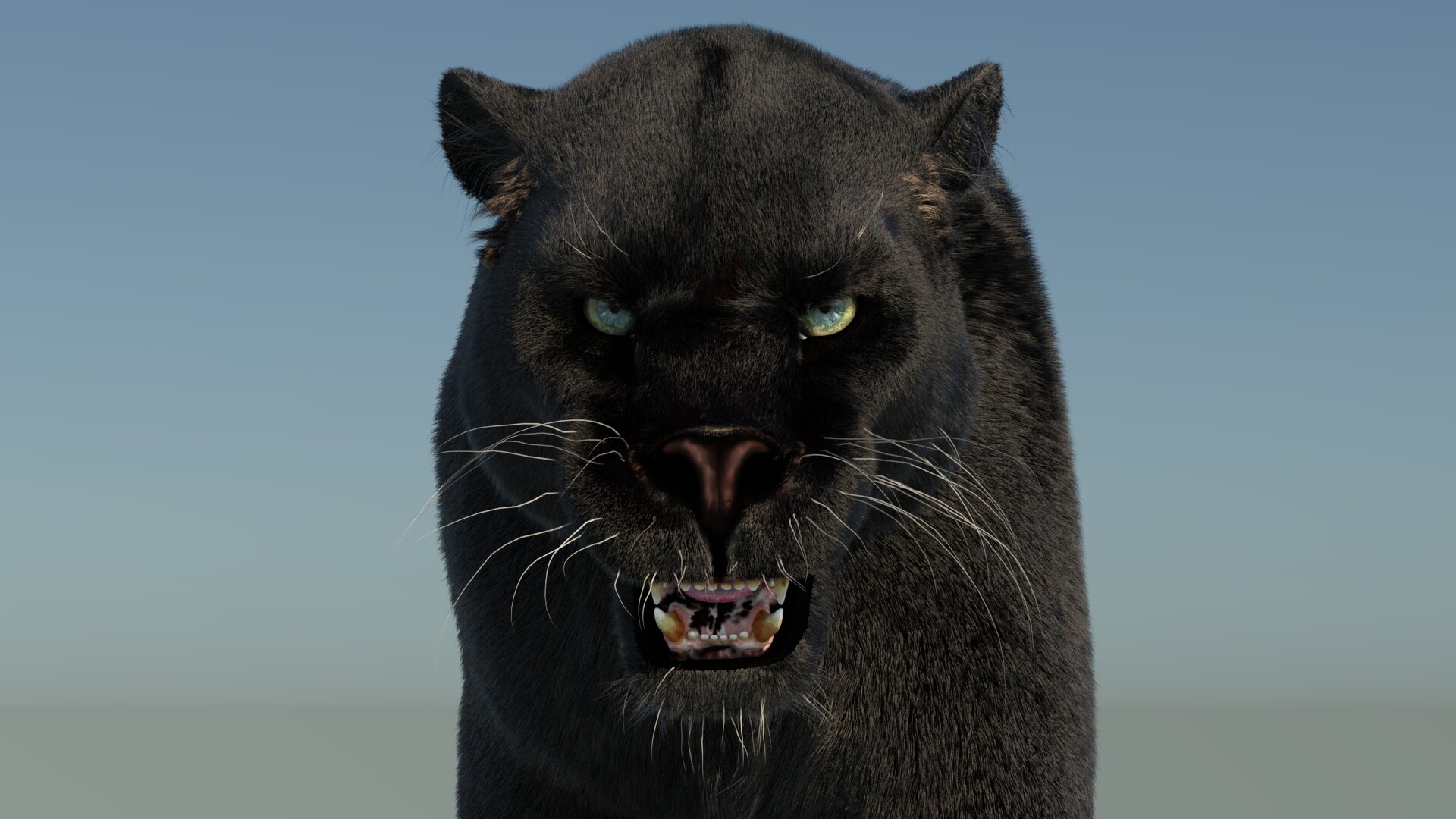 ArtStation - 3D Animated Black Panther 3D Model with Fur model by PROmax3D