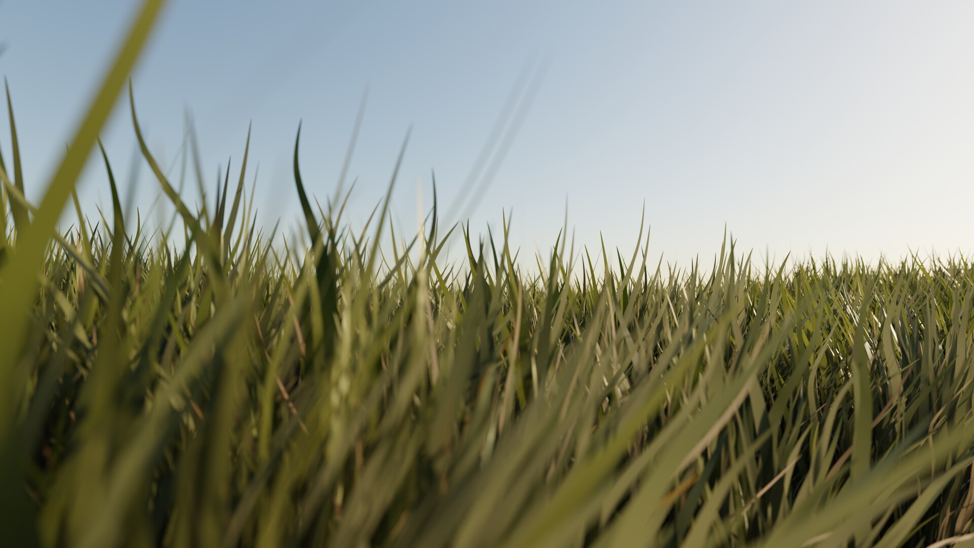 ArtStation - 3D Procedurally Generated Grass