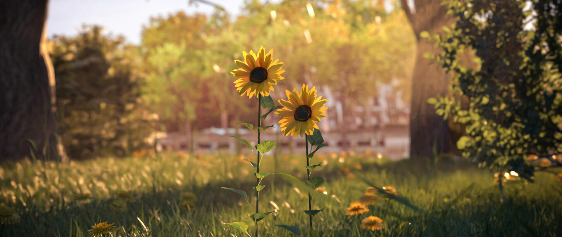 ArtStation - Sunflower