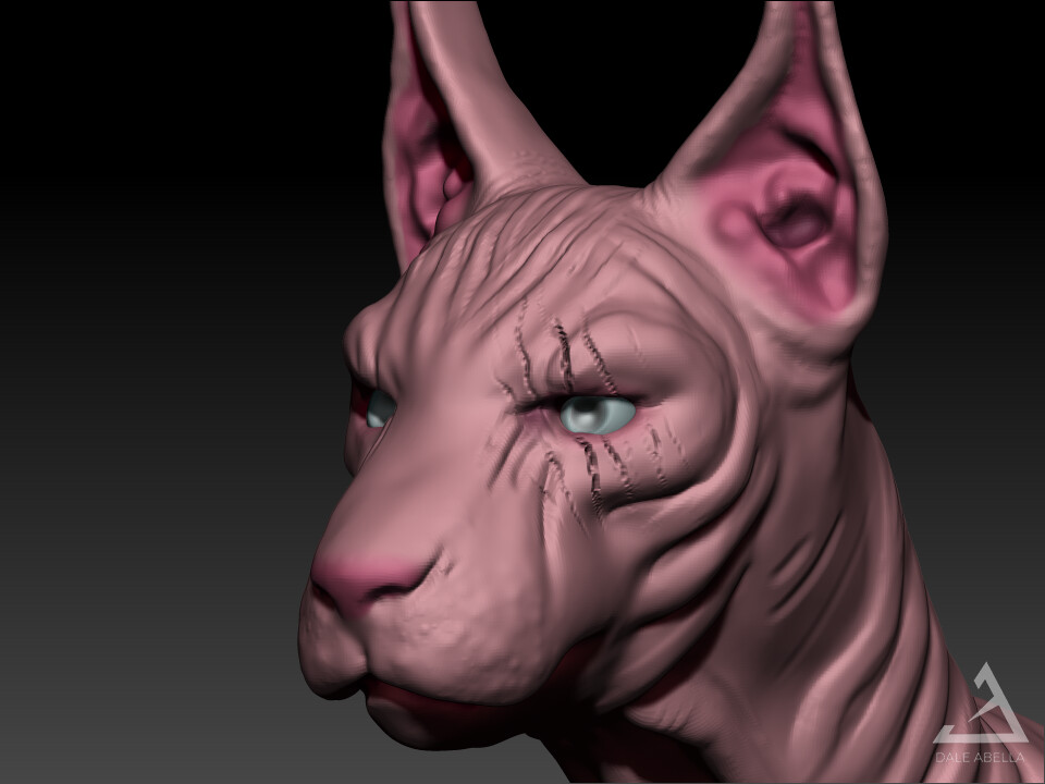 ArtStation - Scarred Cat