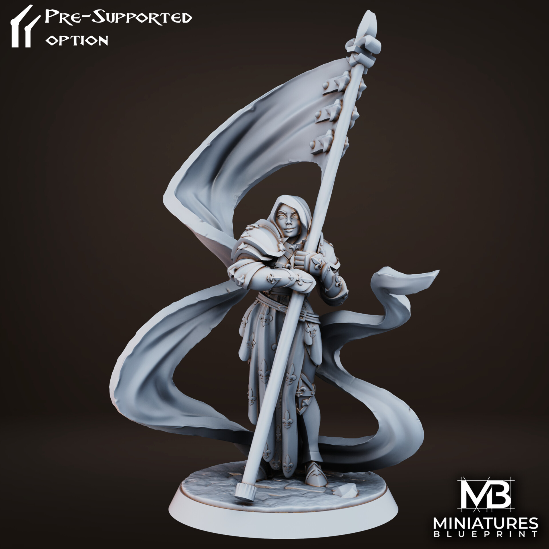 Miniatures Blueprint - Females Knight