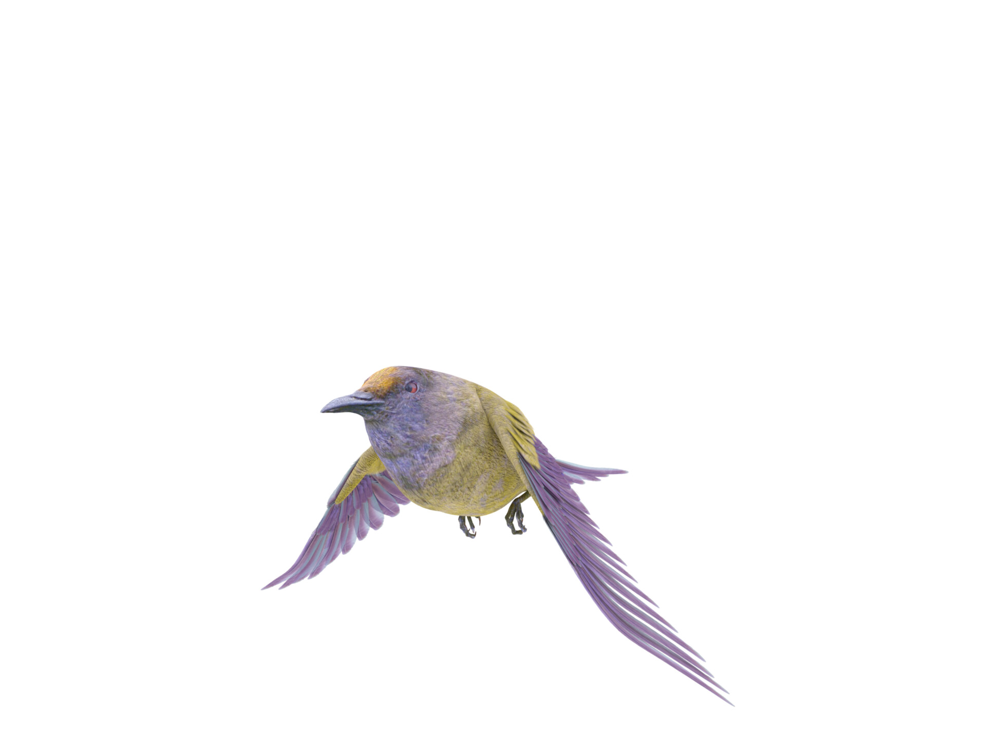 Gavin Au - Point Zero Projects