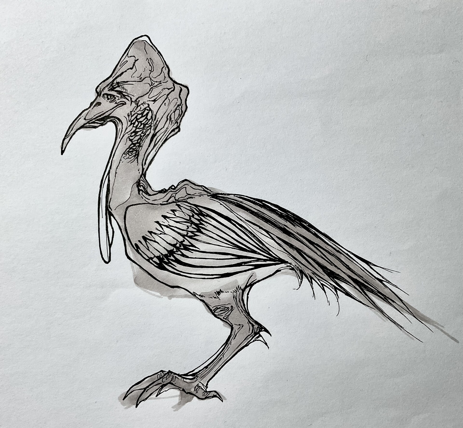 ArtStation - Strange bird design