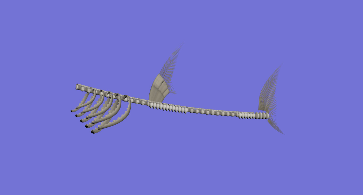 ArtStation - Shark Skeleton 3D Model