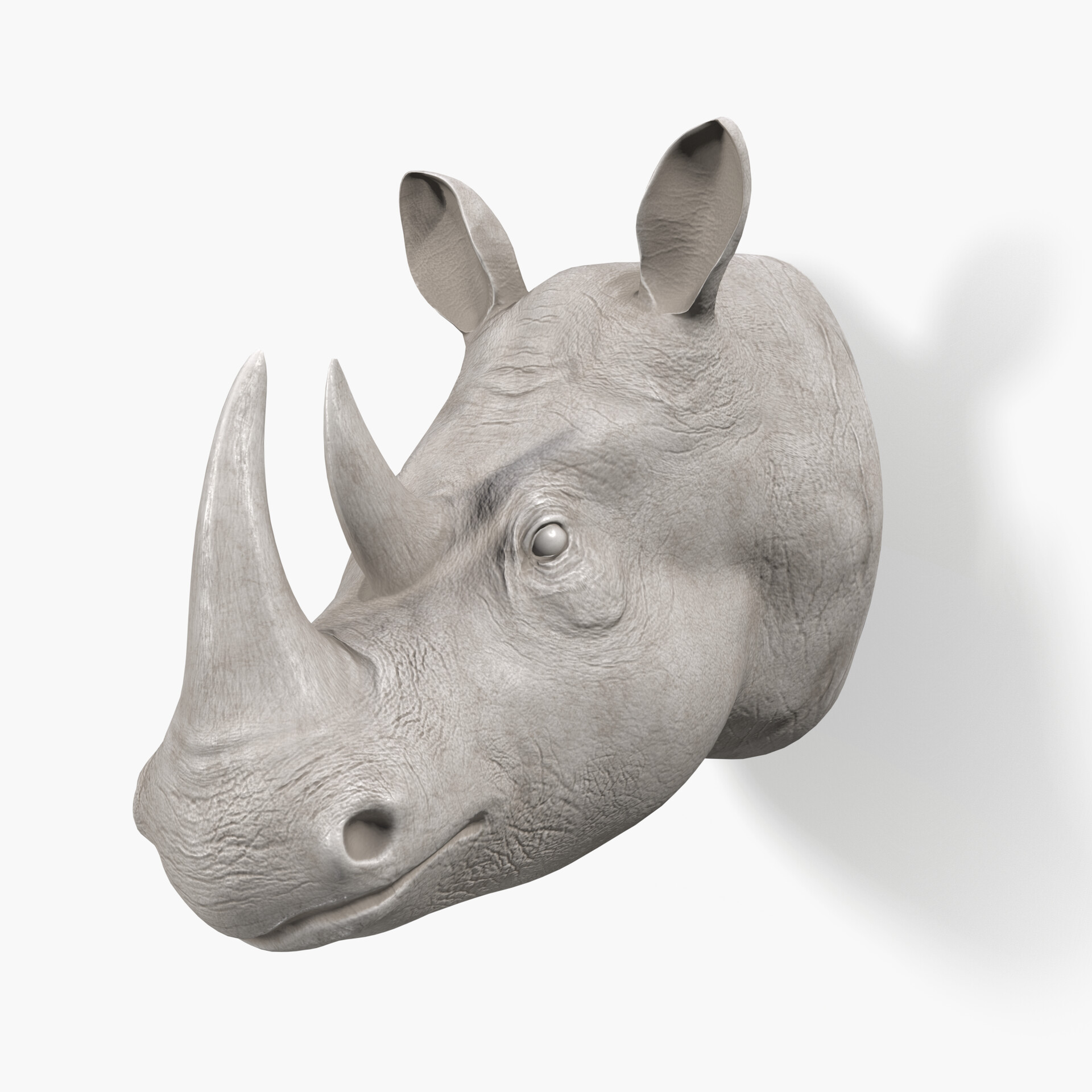 ArtStation - Rhinoceros head. Rhino wall-decor