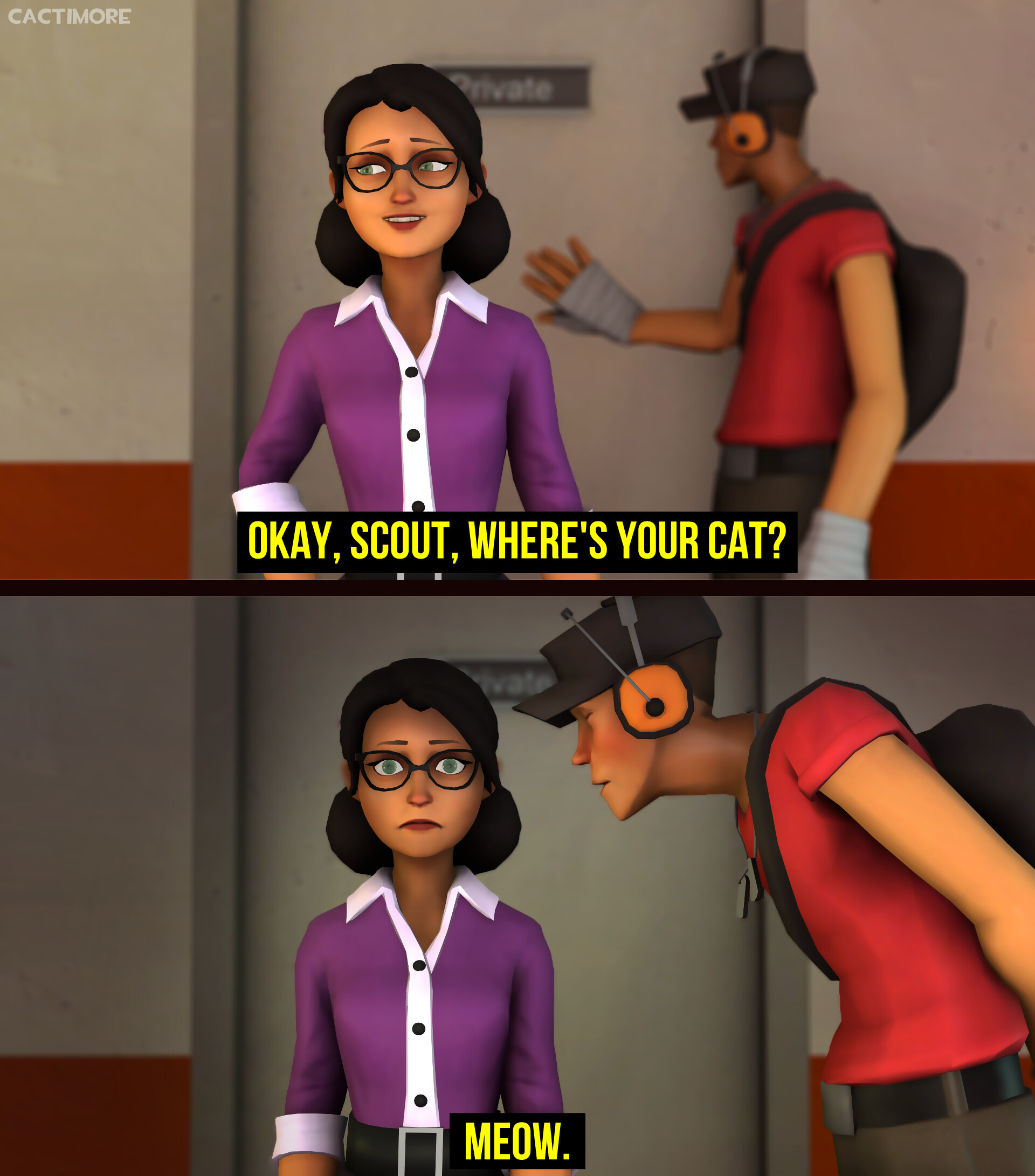 ArtStation - Scout's cat