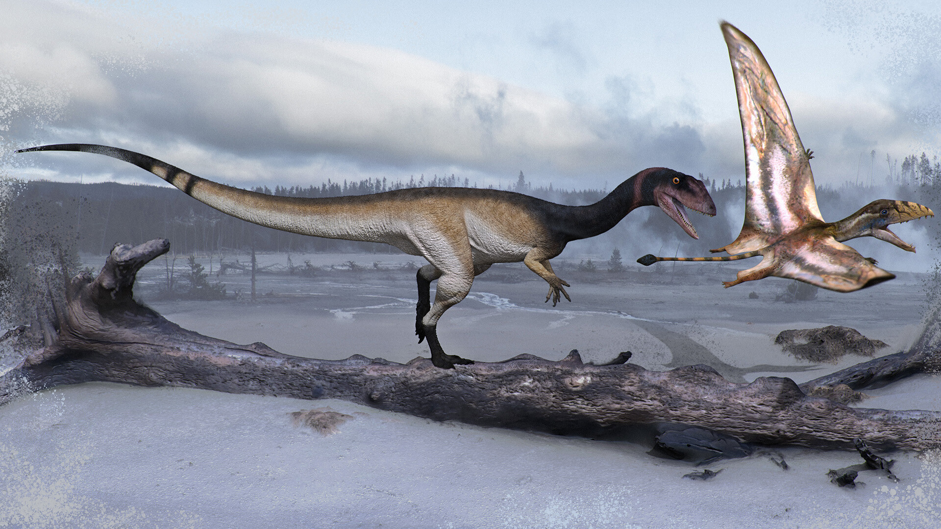 Cheung Chung Tat - Panguraptor lufengensis