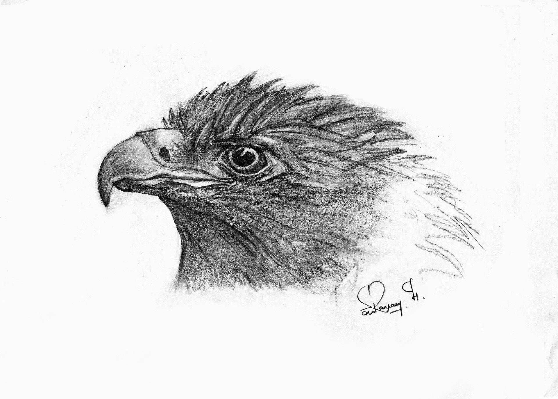 ArtStation - Pencil Artworks | Set 01 | Drawings 2015