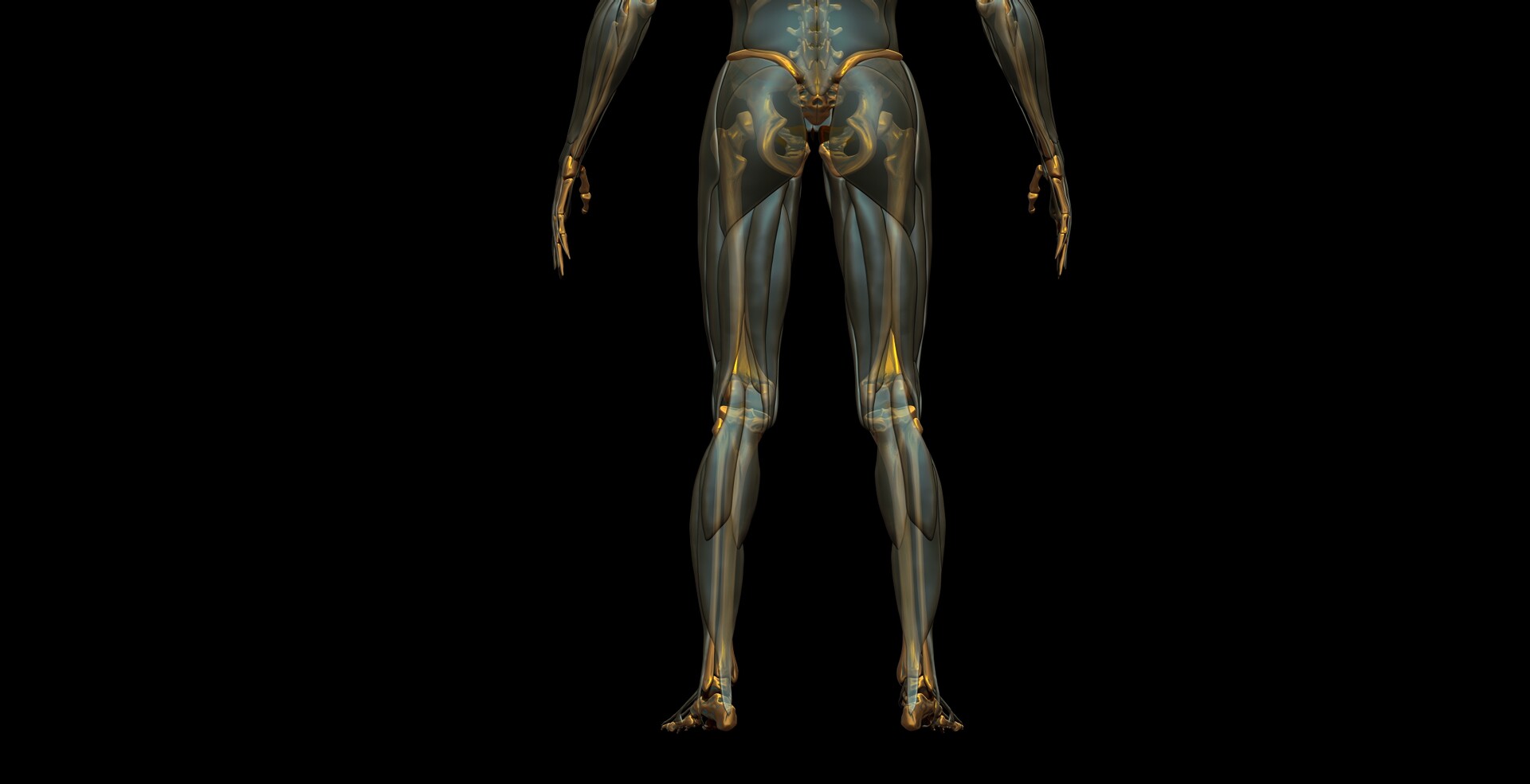 Christopher Grant - Écorché on Photoscanned Skeleton