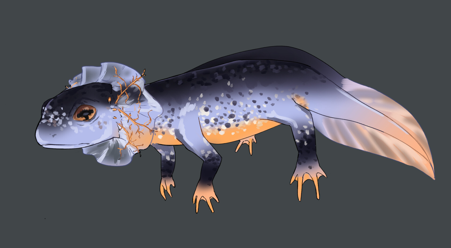 ArtStation - Triton à collier / Triturus Monile (Collared newt)