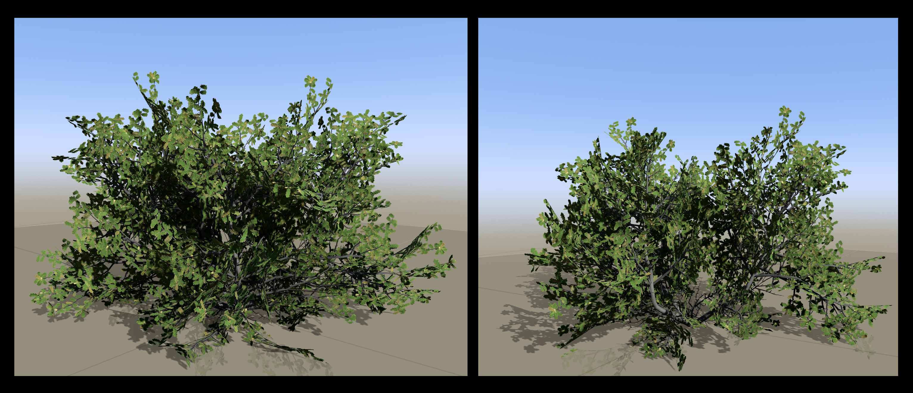 Matt Spurlin - White Shin Oak Process