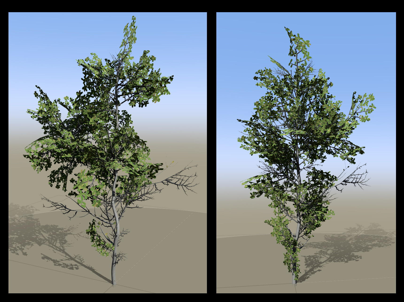 Matt Spurlin - White Shin Oak Process