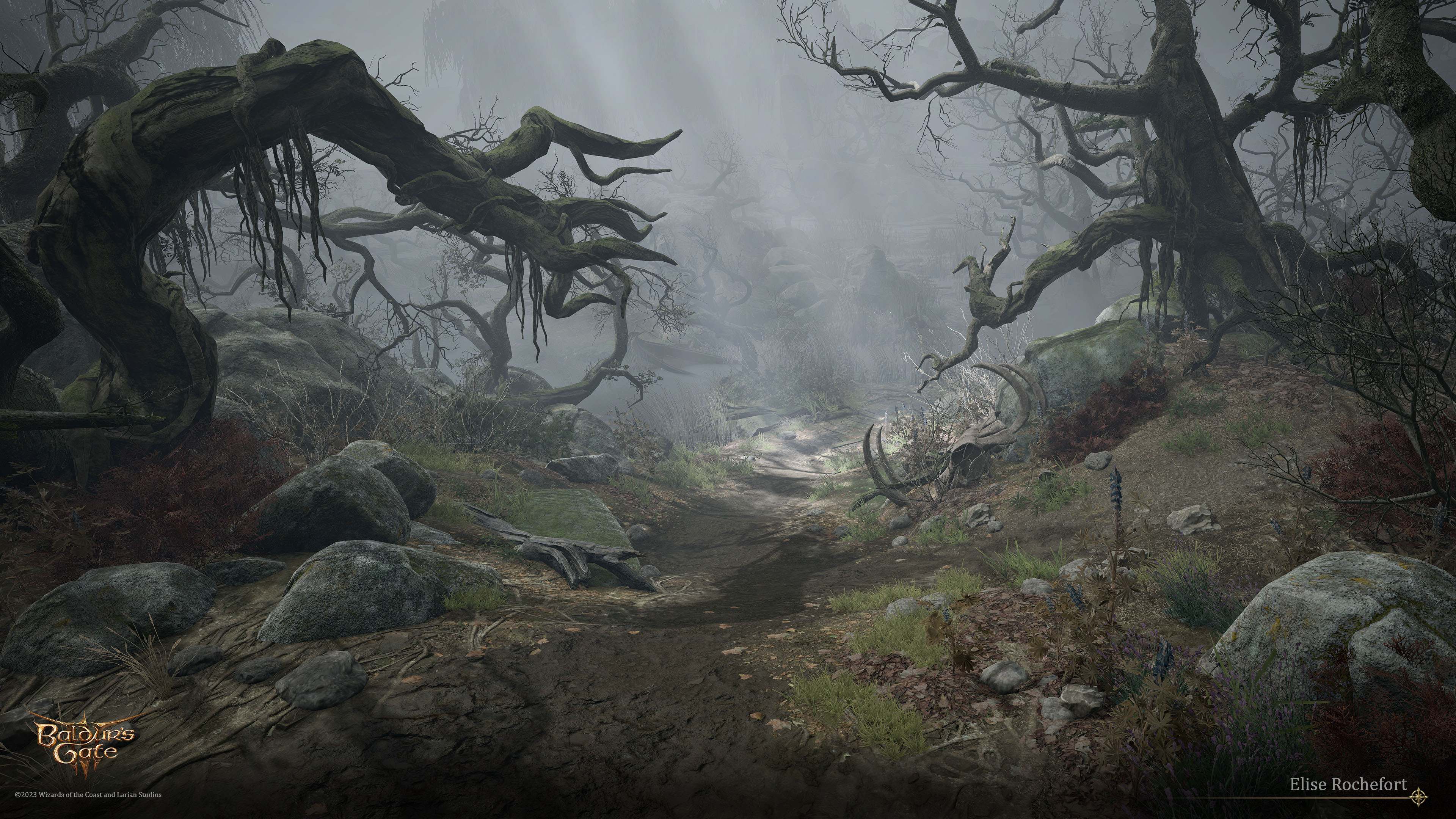 Elise Rochefort - Baldur's Gate 3 - Hag