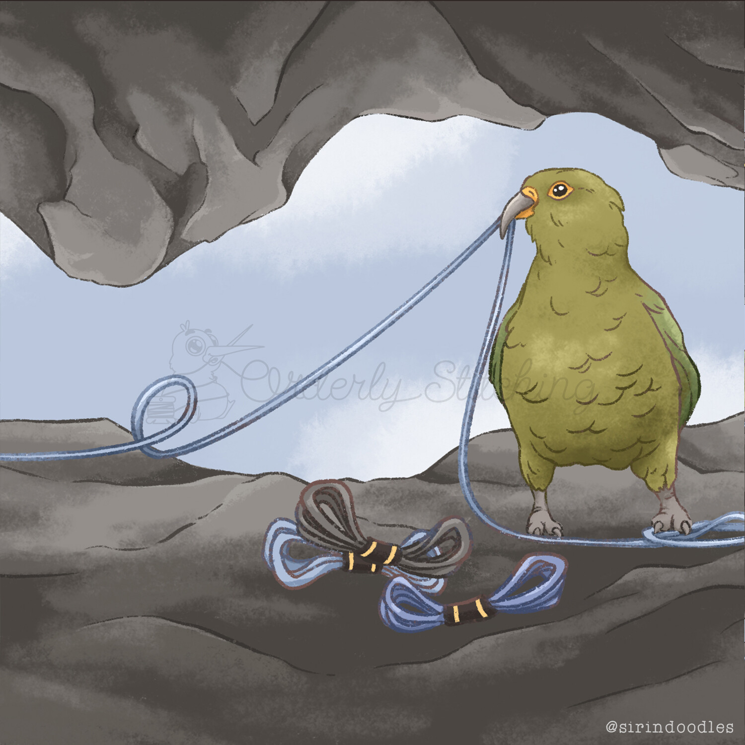 Sirin Doodles - Kea - New Zealand birds