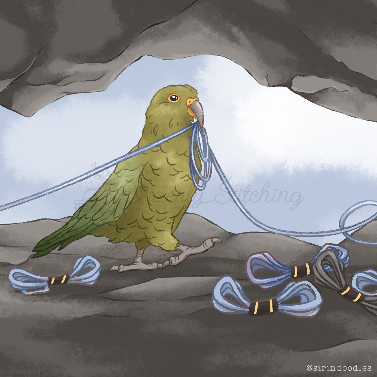 Sirin Doodles - Kea - New Zealand birds