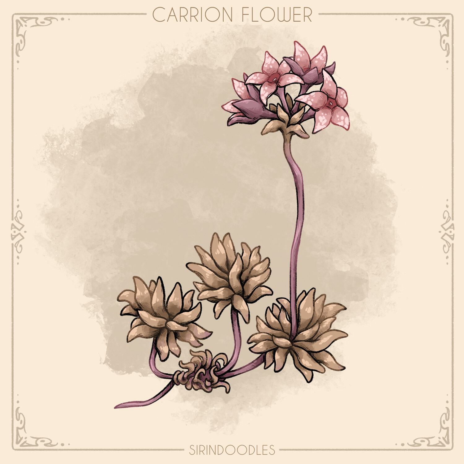 ArtStation - Carrion Flower - D&D Homebrew Herbalism - Dungeons and ...
