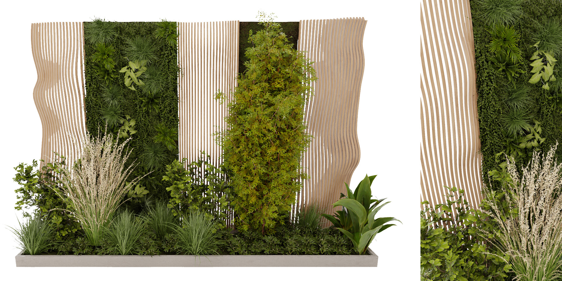 ArtStation - Collection plant vol 485 - blender model