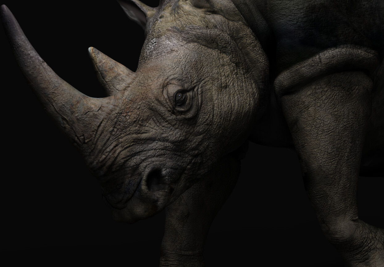 ArtStation - Rhino model